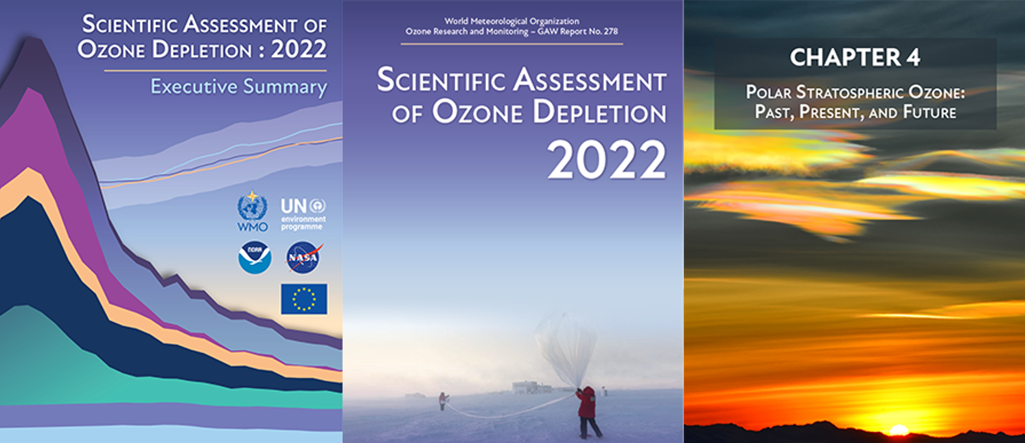 WMO Ozone Assessment Published | TOMCAT Atmospheric Modelling Group